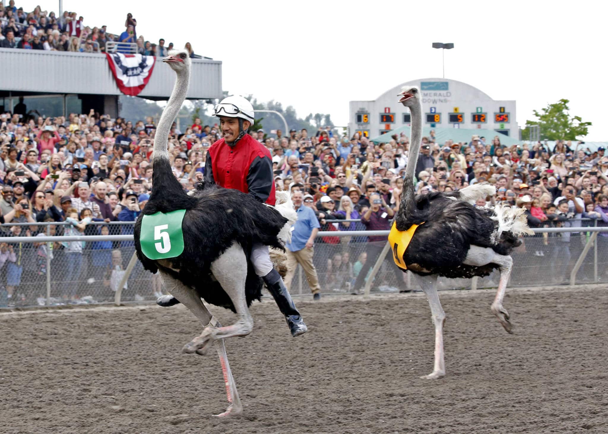 Top 10 Bizarre Sports Competitions You Won't Believe Exist