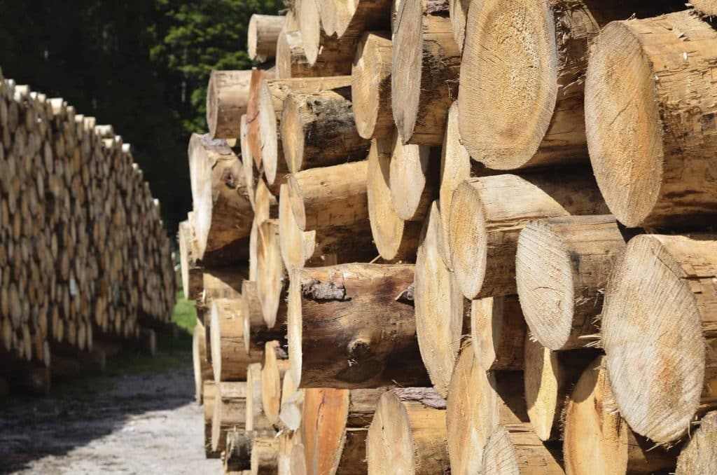 5 Benefits of Investing in Teak - Escape Artist