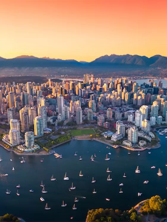 Escape Artist - Life without boundaries