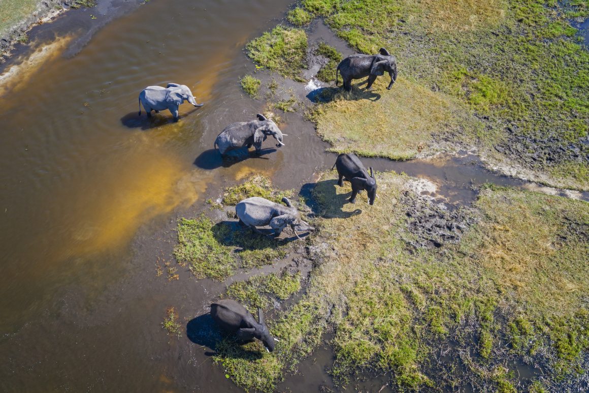 Tsodilo Hills Botswana: Helicopter Tour to Sacred Rock Art